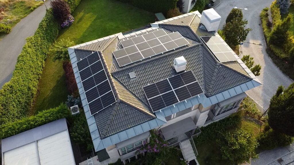 Ormanada erk bey – Wes Solar